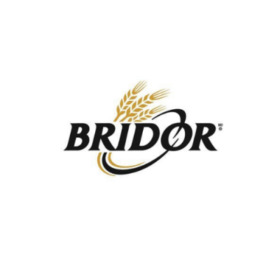 FIFOplus - Bridor